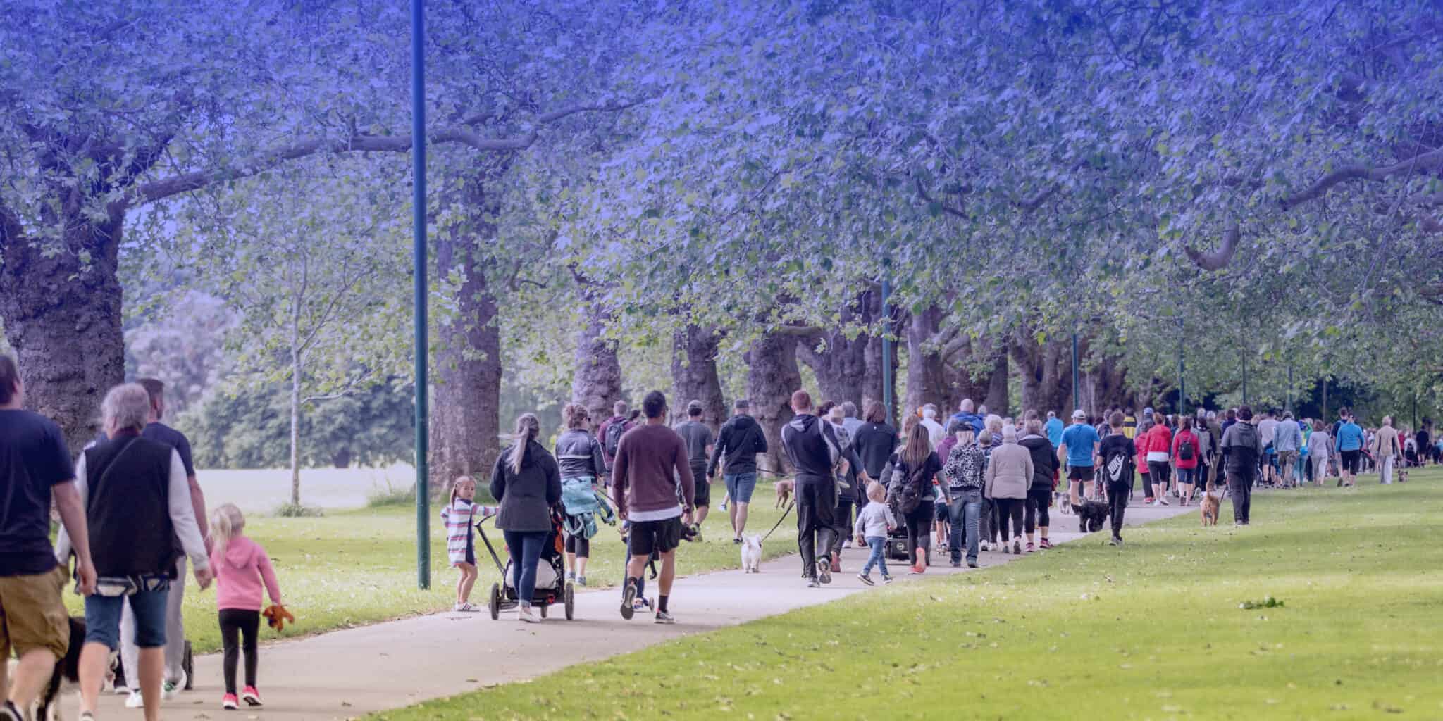 REMINDER! Christchurch Walk this Sunday 18 Feb - MND NZ